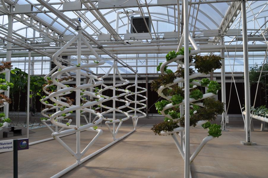 Living with the Land, Epcot | Disney Discount Tickets | Undercover Tourist